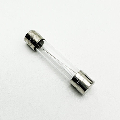 AC Fuse 250 Volt / 10 Amp: PinPoint International