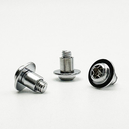 Tajima Stepped Truss Head Screw - M3 x 4 x 2: PinPoint International